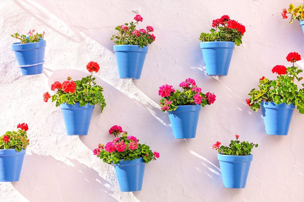 The Colour of Marbella | The Swish Mag | Swish Marbella